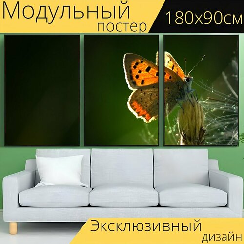Модульный постер "Бабочка, природа, луг" 180 x 90 см. для интерьера