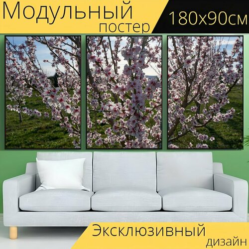 Модульный постер "Цветок миндаля, цвести, весна" 180 x 90 см. для интерьера