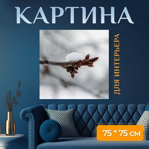 Картина на холсте "Кпоѕребыл, бутон, зима" на подрамнике 75х75 см. для интерьера