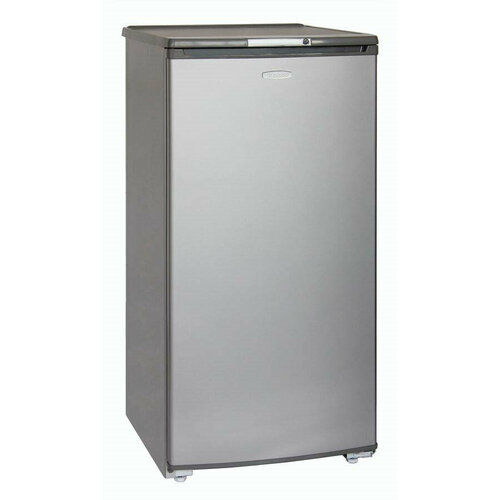 Холодильник Бирюса Б-M10 серебристый, однокамерный, общий объем 235л, с ручной разморозкой холодильной камеры, ручное, расположение морозильной камеры: сверху