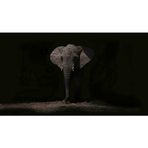 Картина на холсте 60x110 LinxOne "Ночь слон природа" интерьерная для дома / на стену / на кухню / с подрамником