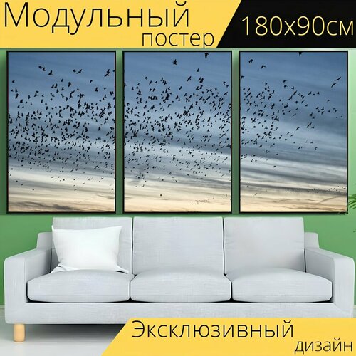 Модульный постер "Стая птиц, роиться, летающие птицы" 180 x 90 см. для интерьера