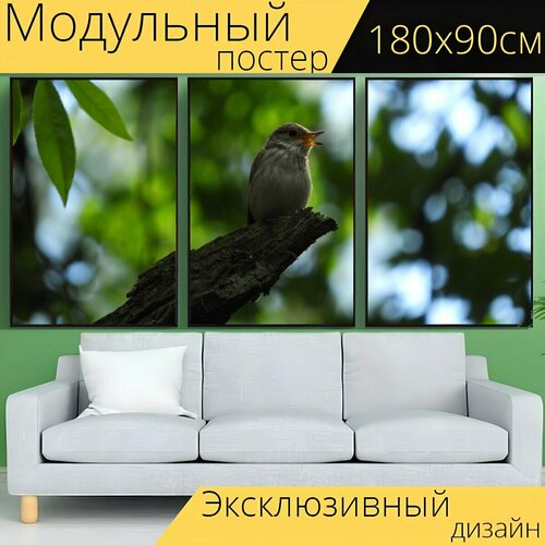 Модульный постер "Птица, природа, петь" 180 x 90 см. для интерьера