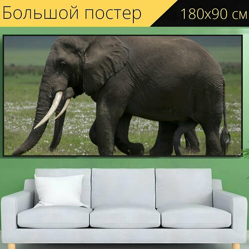 Большой постер "Слон, животное, сафари" 180 x 90 см. для интерьера