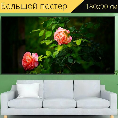 Большой постер "Роуз, розы, цветы" 180 x 90 см. для интерьера