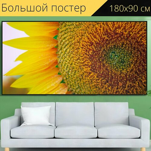 Большой постер "Солнечный цветок, цветы, желтые цветы" 180 x 90 см. для интерьера