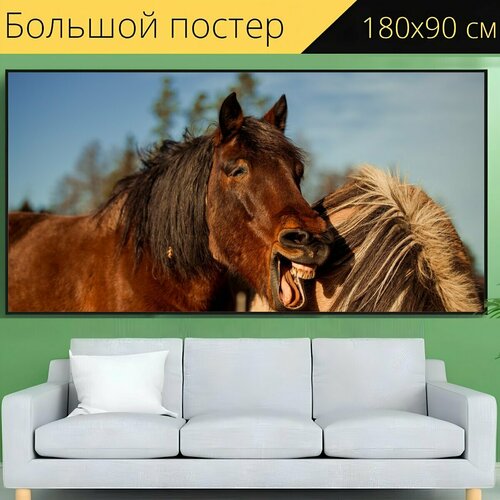 Большой постер "Животное, лошадь, лошади" 180 x 90 см. для интерьера