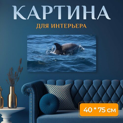 Картина на холсте "Дельфин, морские млекопитающие, удовольствие" на подрамнике 75х40 см. для интерьера