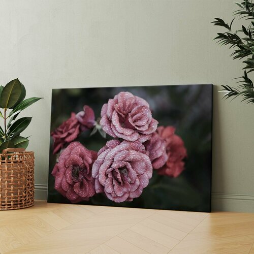 Картина на холсте (Розовые розы садовая цветы каплями росы) 30x40 см. Интерьерная, на стену.