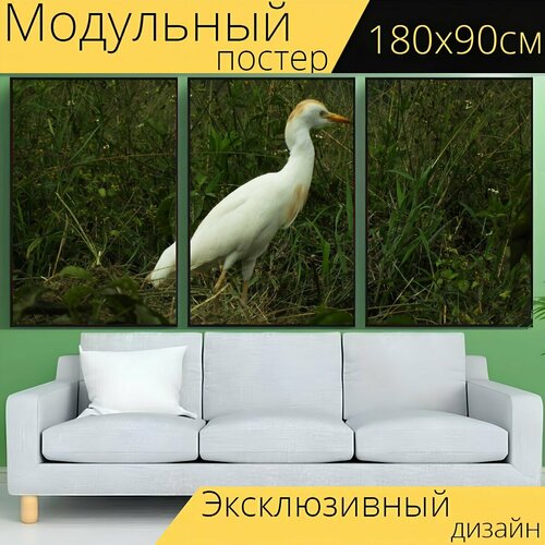 Модульный постер "Природа, птица, белая цапля" 180 x 90 см. для интерьера
