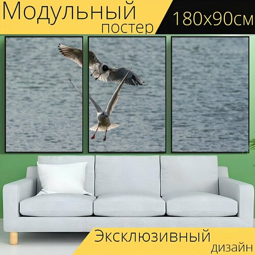 Модульный постер "Полет, чайки, пара" 180 x 90 см. для интерьера