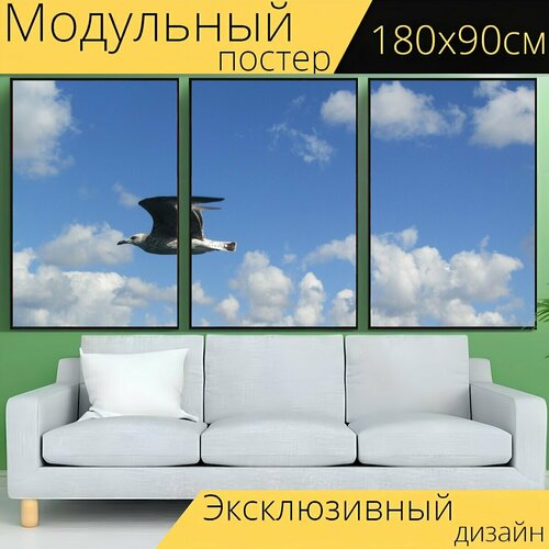 Модульный постер "Птица, небо, летающий" 180 x 90 см. для интерьера