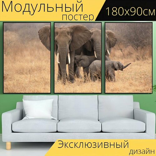 Модульный постер "Танзания, животные, слон" 180 x 90 см. для интерьера