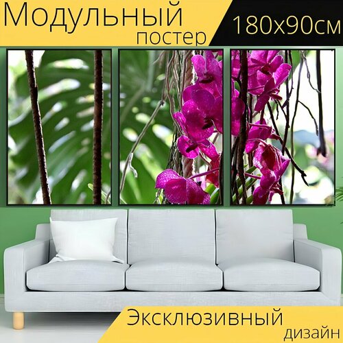 Модульный постер "Орхидея, розовый цвет, приостановлено" 180 x 90 см. для интерьера