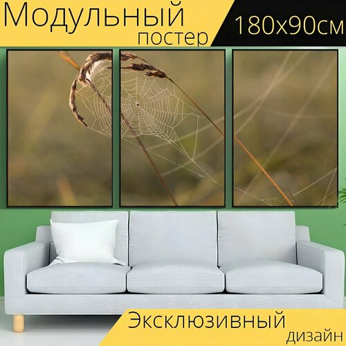 Модульный постер "Паутина, трава, паук" 180 x 90 см. для интерьера