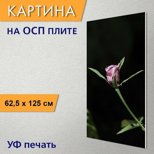Вертикальная картина на ОСП "Роза, цветок, природа" 62x125 см. для интерьериа