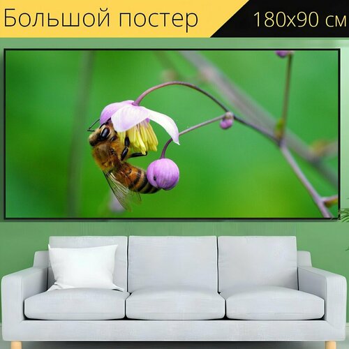 Большой постер "Пчела, цветок, насекомые" 180 x 90 см. для интерьера