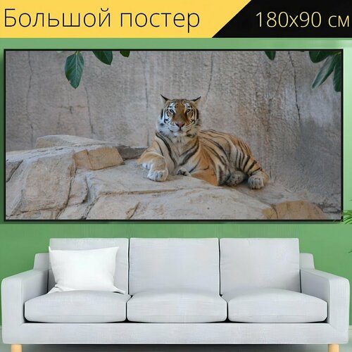 Большой постер "Тигр, животное, кошачий" 180 x 90 см. для интерьера