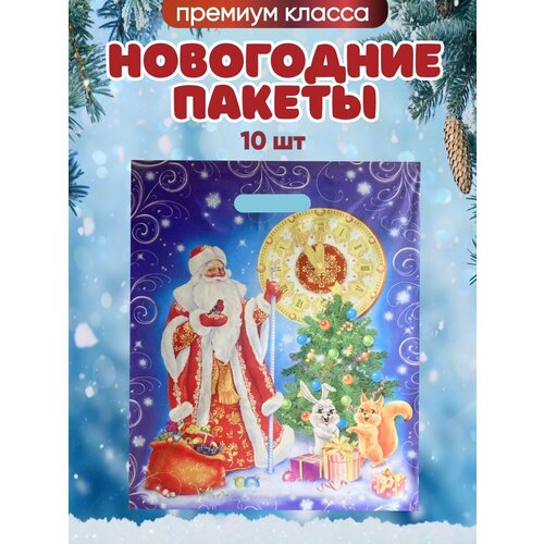 Набор подарочных пакетов, 10 шт.