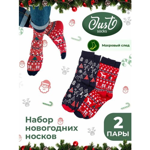 Носки Just Socks, 2 пары, размер 27, красный, синий