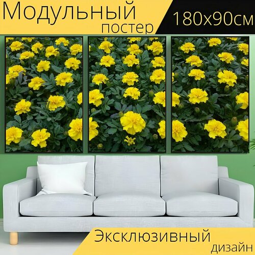Модульный постер "Цветы, растения, поле" 180 x 90 см. для интерьера