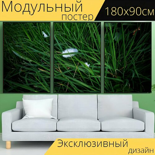 Модульный постер "Перо, трава, природа" 180 x 90 см. для интерьера