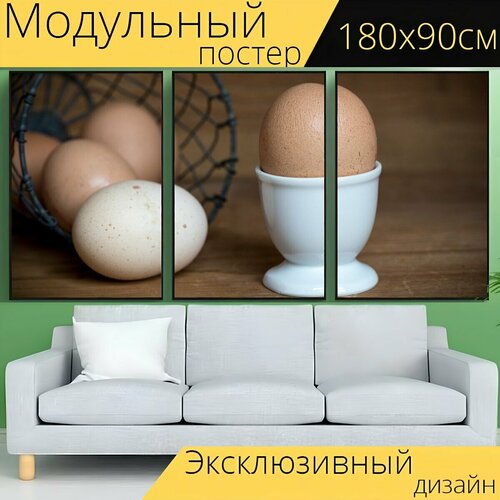 Модульный постер "Яйцо, куриное яйцо, коричневое яйцо" 180 x 90 см. для интерьера