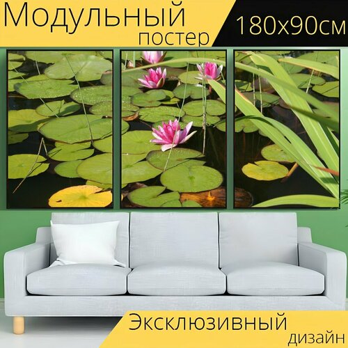 Модульный постер "Водяные лилии, цветы лотоса, лилии" 180 x 90 см. для интерьера