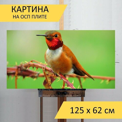 Картина на ОСП 125х62 см. "Рыжий колибри, колибри, птица" горизонтальная, для интерьера, с креплениями