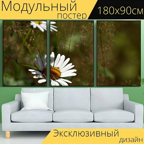 Модульный постер "Ромашка, цветок, цветы" 180 x 90 см. для интерьера