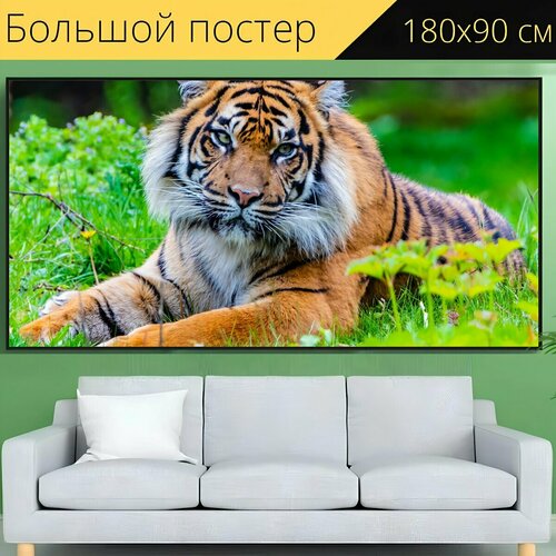 Большой постер "Тигр, хищник, кот" 180 x 90 см. для интерьера