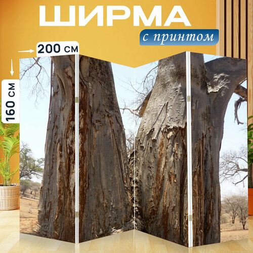 Ширма перегородка с принтом "Дерево, баобаб, ствол дерева" на холсте - 200x160 см. для зонирования, раскладная