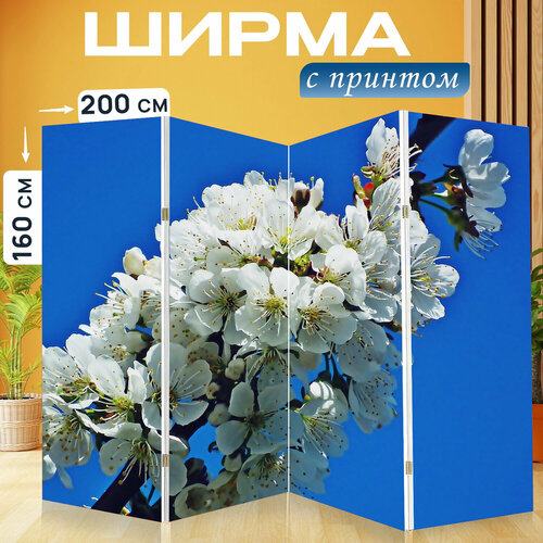 Ширма перегородка с принтом "Вишня, цветы, весна" на холсте - 200x160 см. для зонирования, раскладная