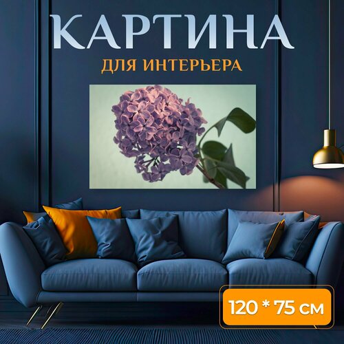 Картина на холсте "Сирень, сиринга, кустарник" на подрамнике 120х75 см. для интерьера