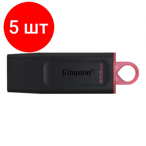 Комплект 5 штук, Флеш-память Kingston DataTraveler Exodia, USB 3.2 G1, роз/чер, DTX/256GB