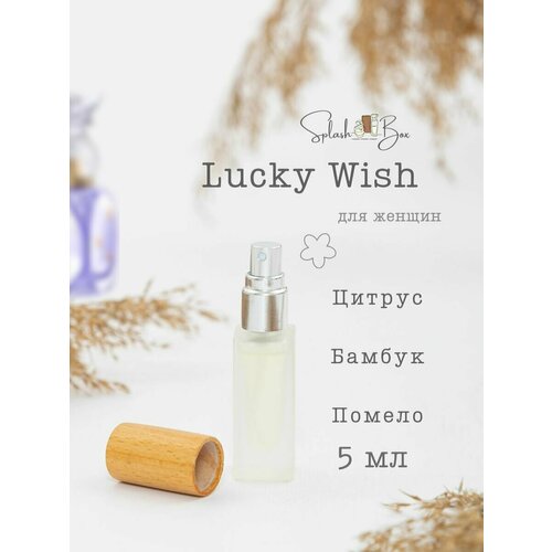 Lucky Wish духи стойкие