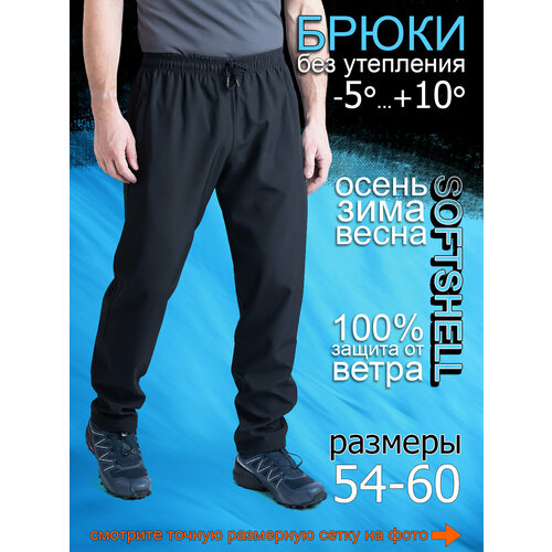 Брюки , размер 58, черный