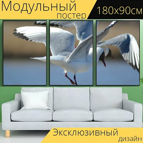 Модульный постер "Озерные чайки, чайки, птицы" 180 x 90 см. для интерьера