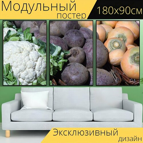 Модульный постер "Овощи, цветная капуста, репы" 180 x 90 см. для интерьера