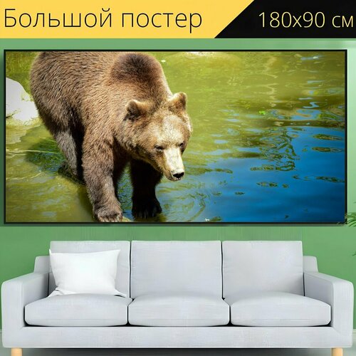Большой постер "Нести, бурый медведь, вода" 180 x 90 см. для интерьера