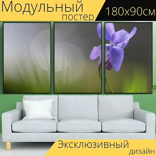Модульный постер "Фиолетовый, цветок, завод" 180 x 90 см. для интерьера