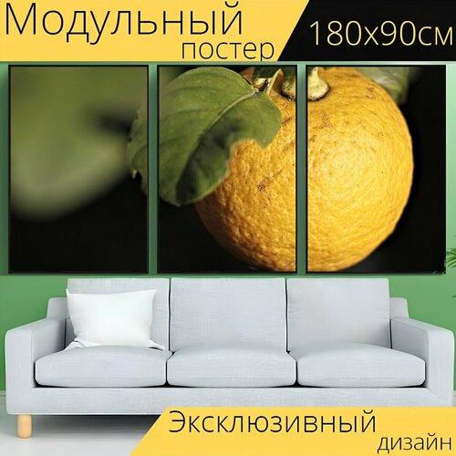 Модульный постер "Лимон, фрукты, завод" 180 x 90 см. для интерьера