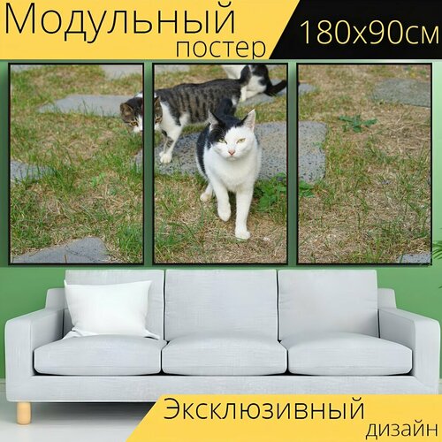 Модульный постер "Кот, кошки, кошка" 180 x 90 см. для интерьера