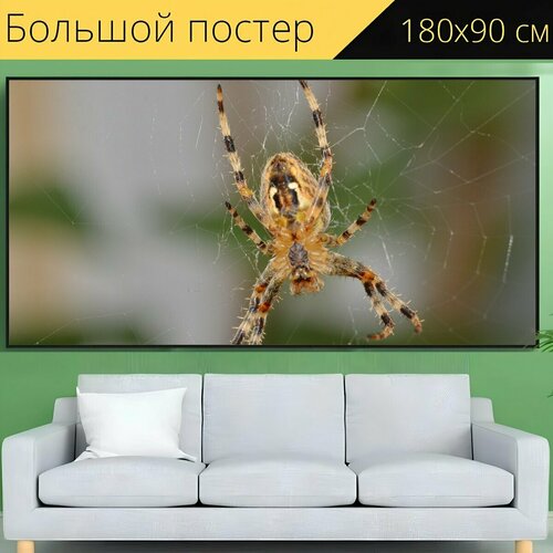 Большой постер "Макрос, паук, природа" 180 x 90 см. для интерьера