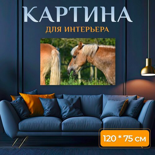 Картина на холсте "Лошадь, животное, млекопитающее" на подрамнике 120х75 см. для интерьера