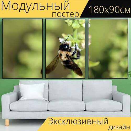 Модульный постер "Природа, насекомое, пчела" 180 x 90 см. для интерьера