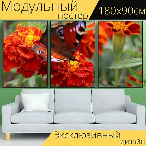 Модульный постер "Студенческий цветок, бабочка, павлиний глаз" 180 x 90 см. для интерьера