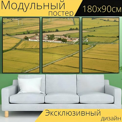 Модульный постер "Рисовые поля, сельское хозяйство, кампания" 180 x 90 см. для интерьера