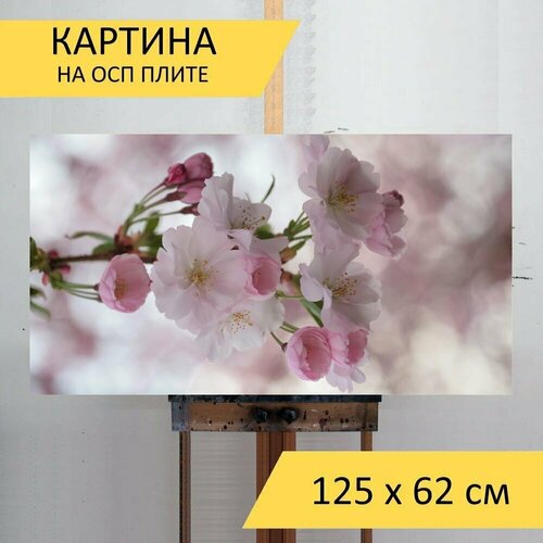 Картина на ОСП 125х62 см. "Цветок, весна, природа" горизонтальная, для интерьера, с креплениями