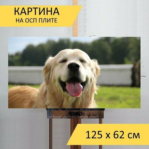 Картина на ОСП 125х62 см. "Собака, домашнее животное, млекопитающие" горизонтальная, для интерьера, с креплениями